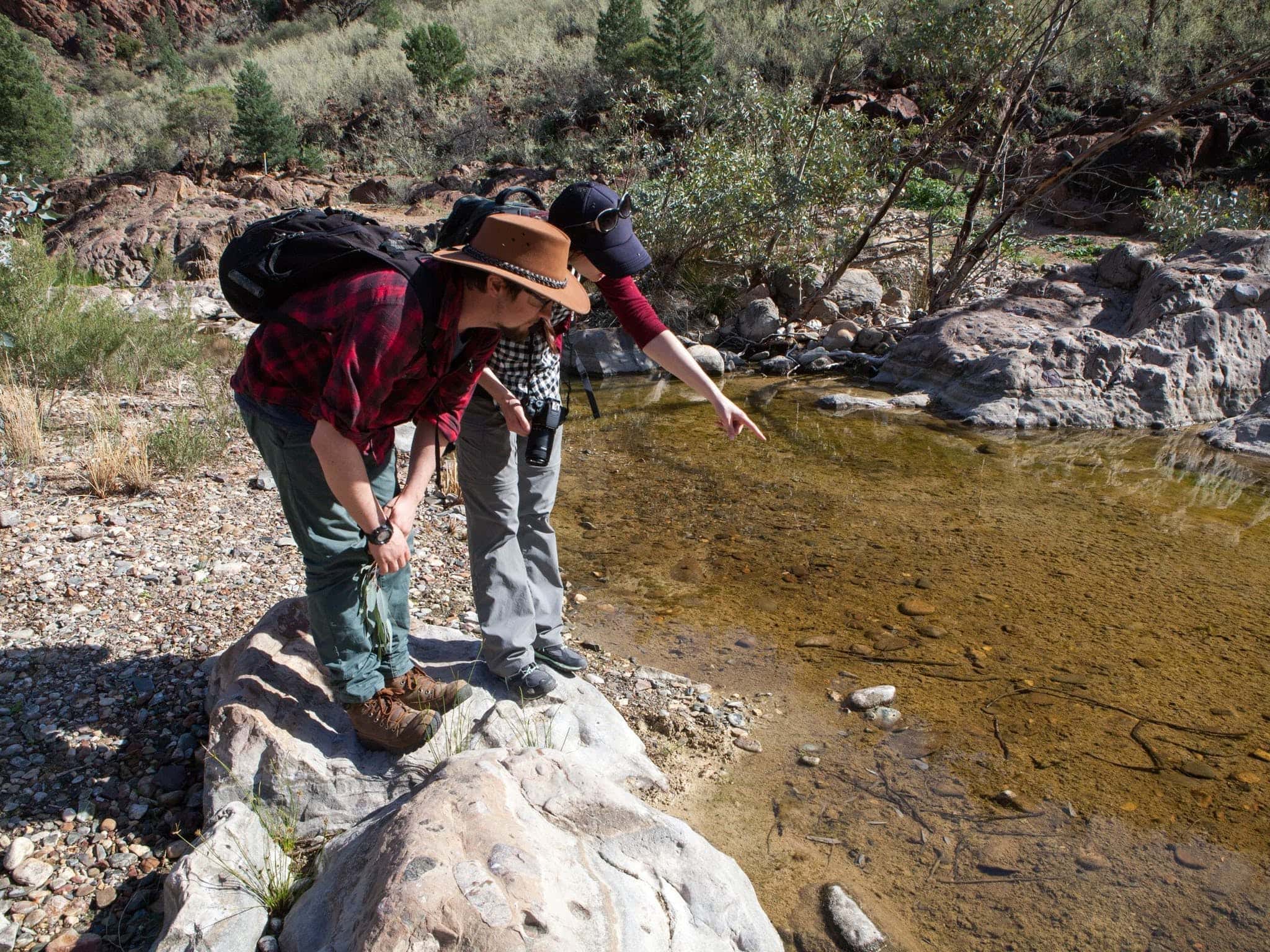 Vulkathunha-Gammon Ranges National Park - Flinders Ranges and Outback