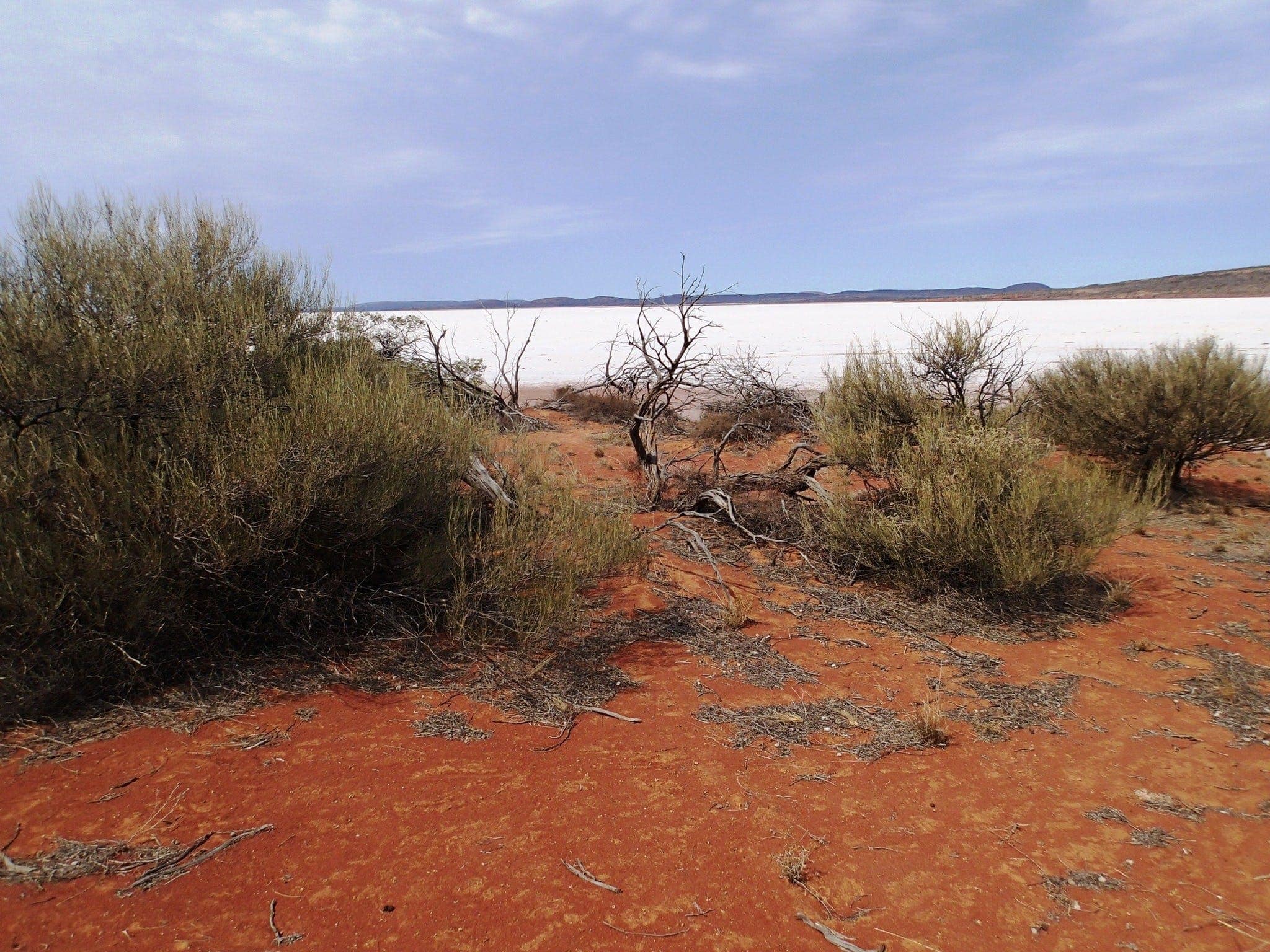 Lake Gairdner National Park Campgrounds - Flinders Ranges and Outback