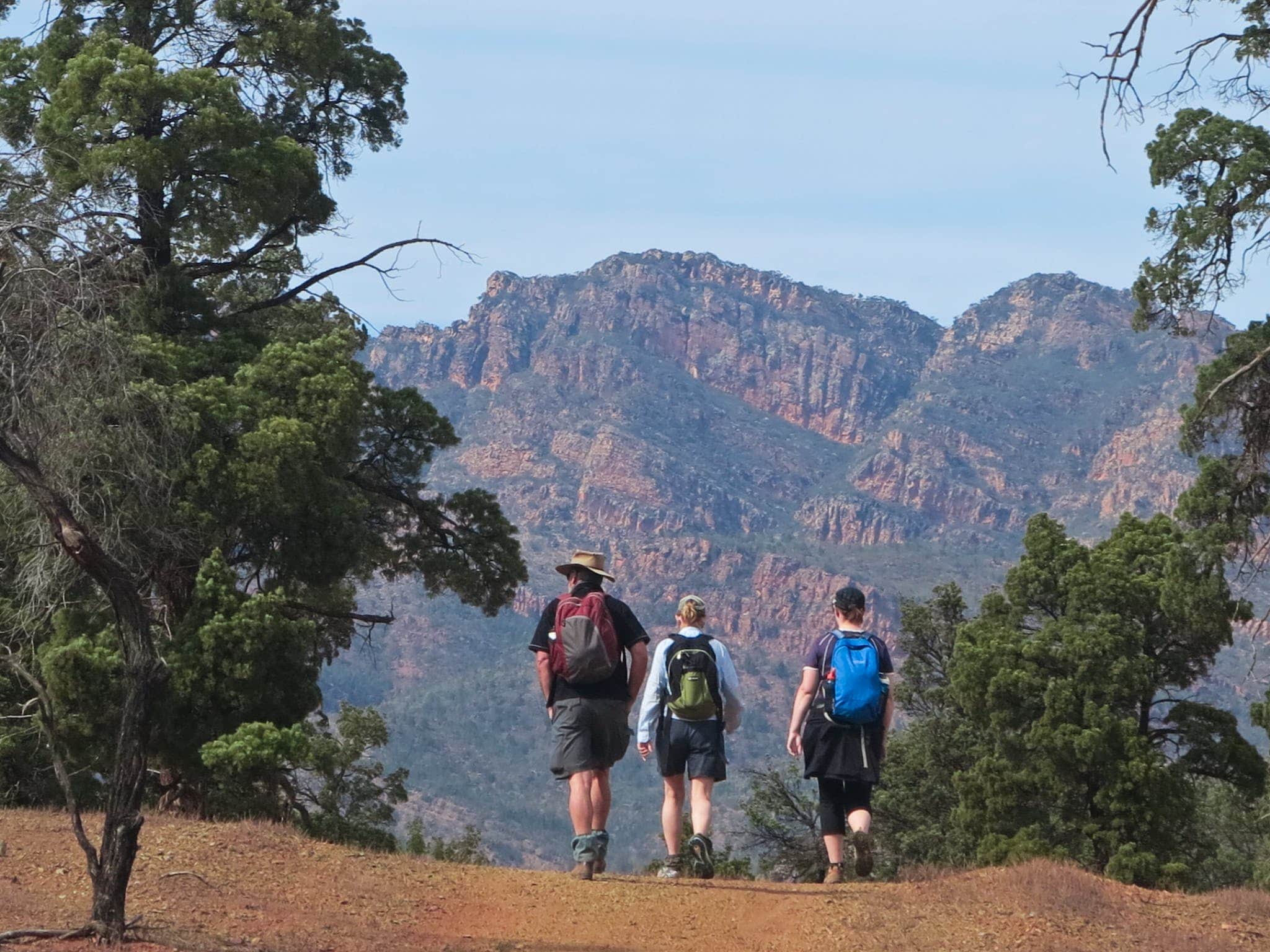 Walking the Flinders Ranges - Three and Five Day Guided Bushwalks ...
