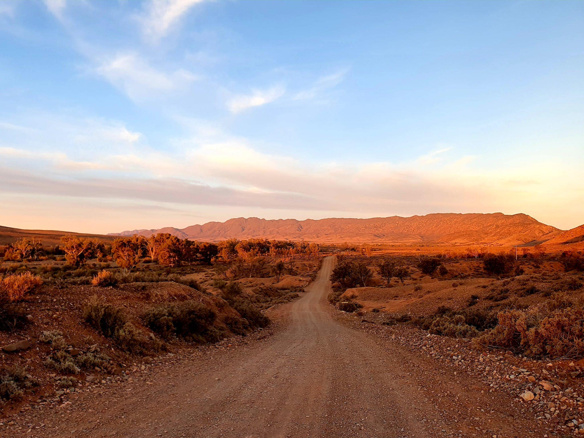 Mount Little Homestead - Flinders Ranges and Outback