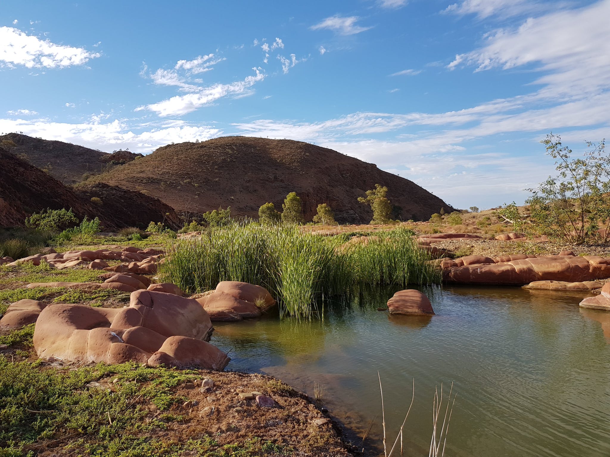 Mount Little Station - Flinders Ranges and Outback