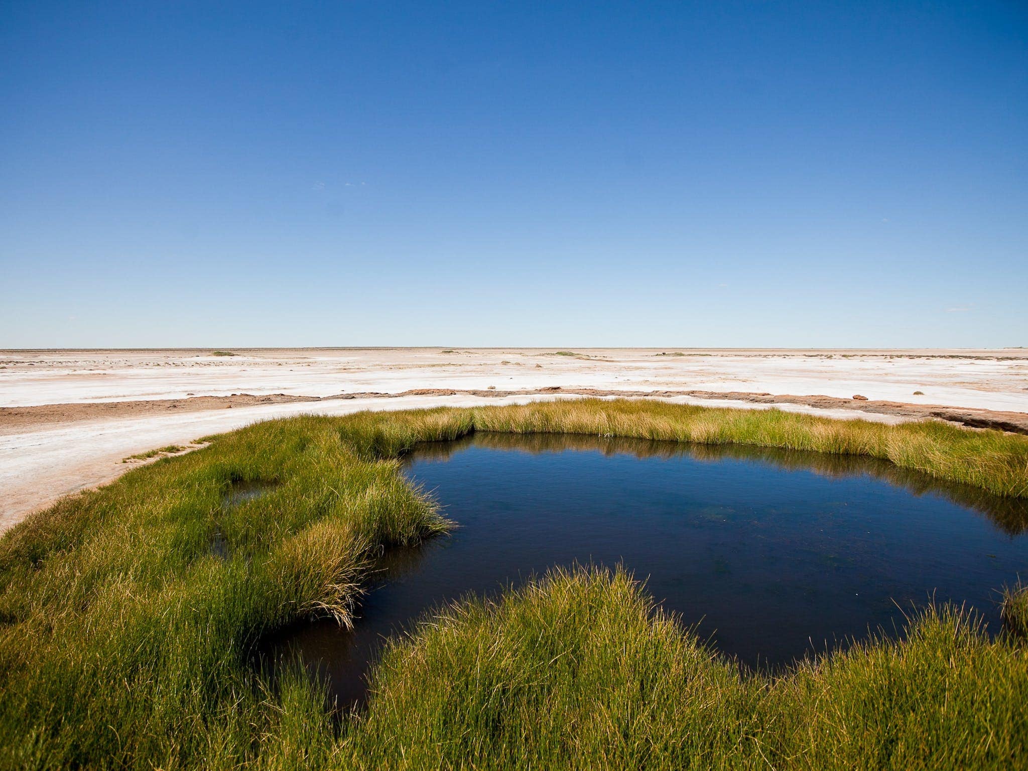 Wabma Kadarbu Mound Springs Conservation Park - Flinders Ranges and Outback