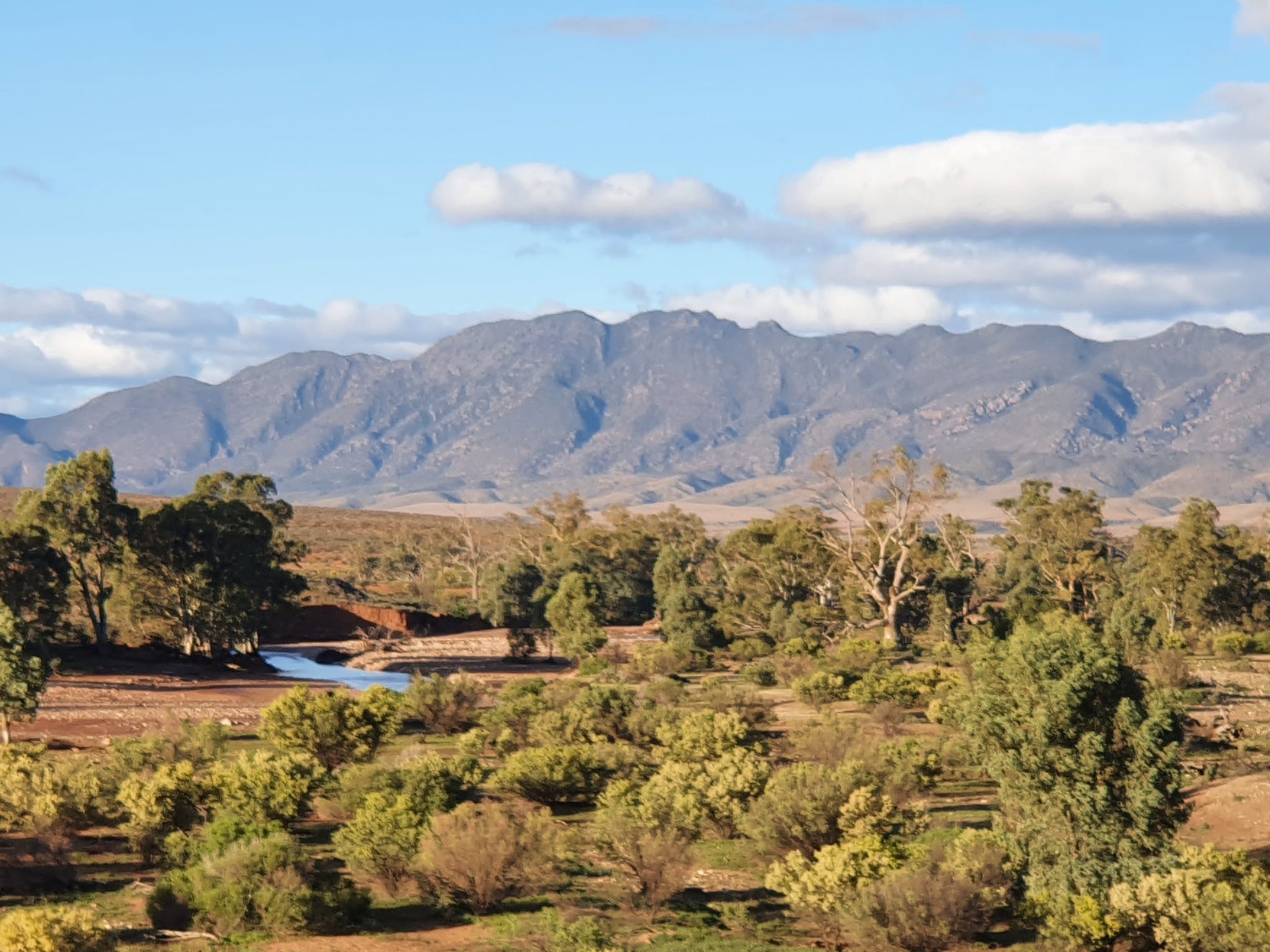 Mount Little Homestead - Flinders Ranges and Outback