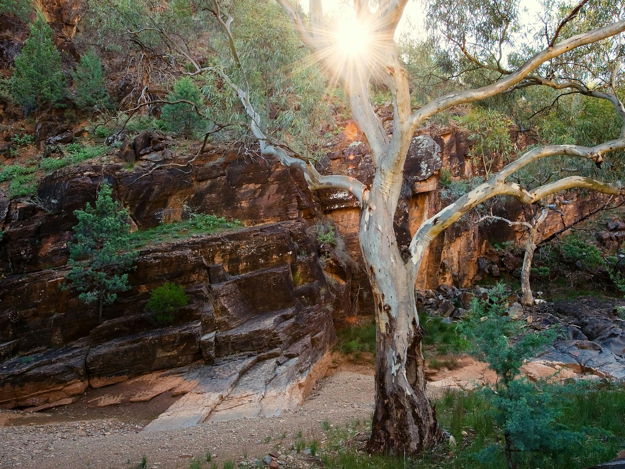 Living in the Rangelands Trail - Flinders Ranges and Outback