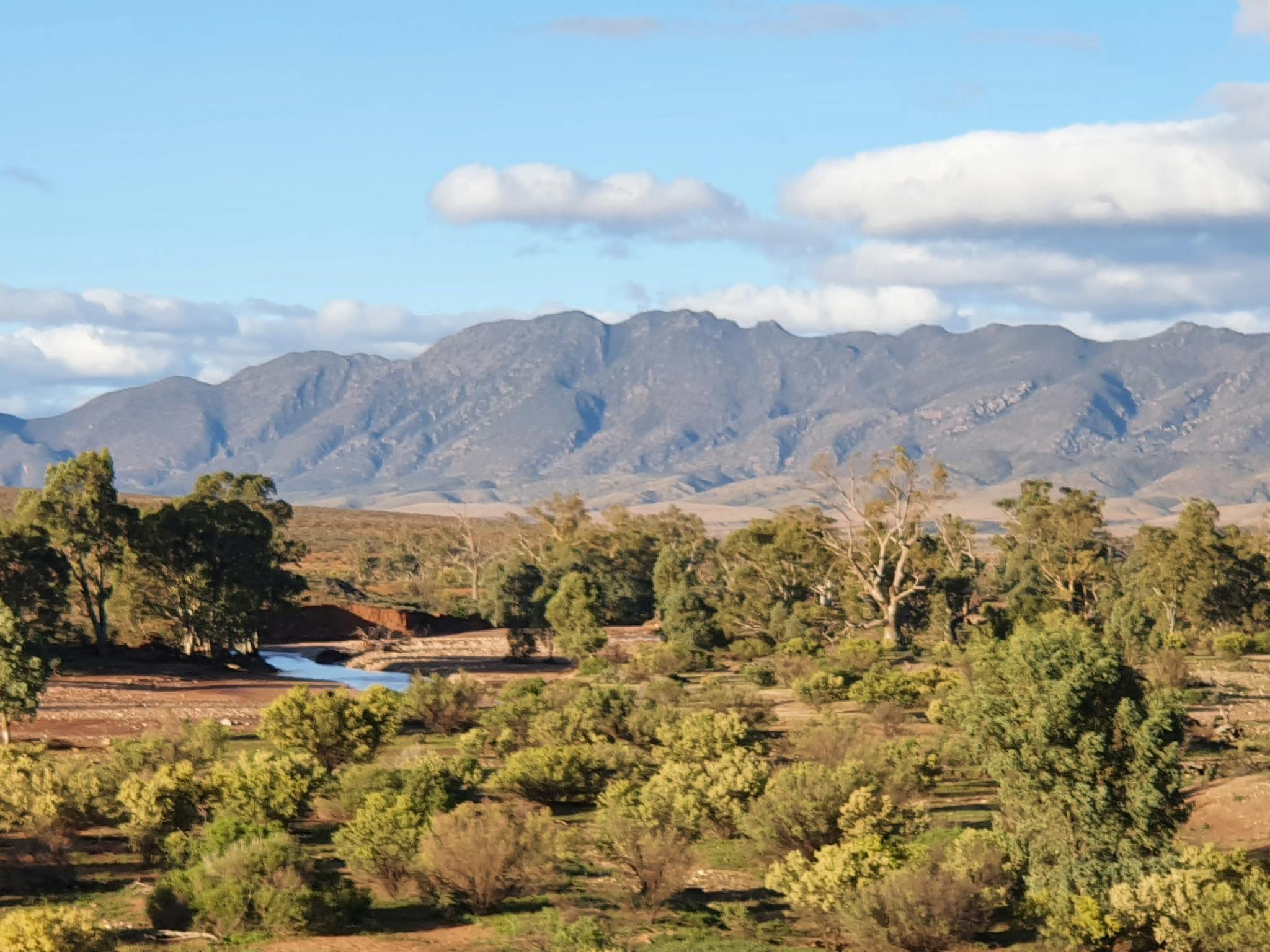 Mount Little Homestead - Flinders Ranges and Outback