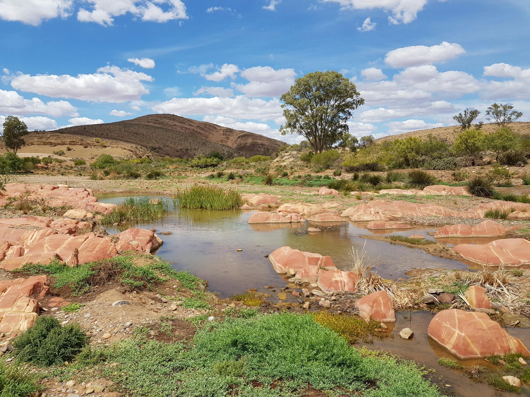 Mount Little Station Off Grid Rooms - Flinders Ranges and Outback