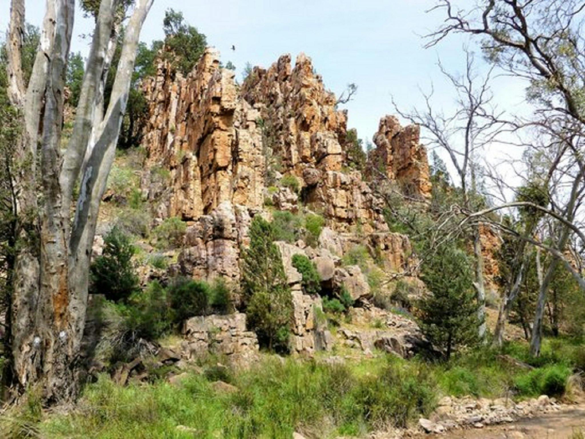 Warren Gorge - Flinders Ranges and Outback