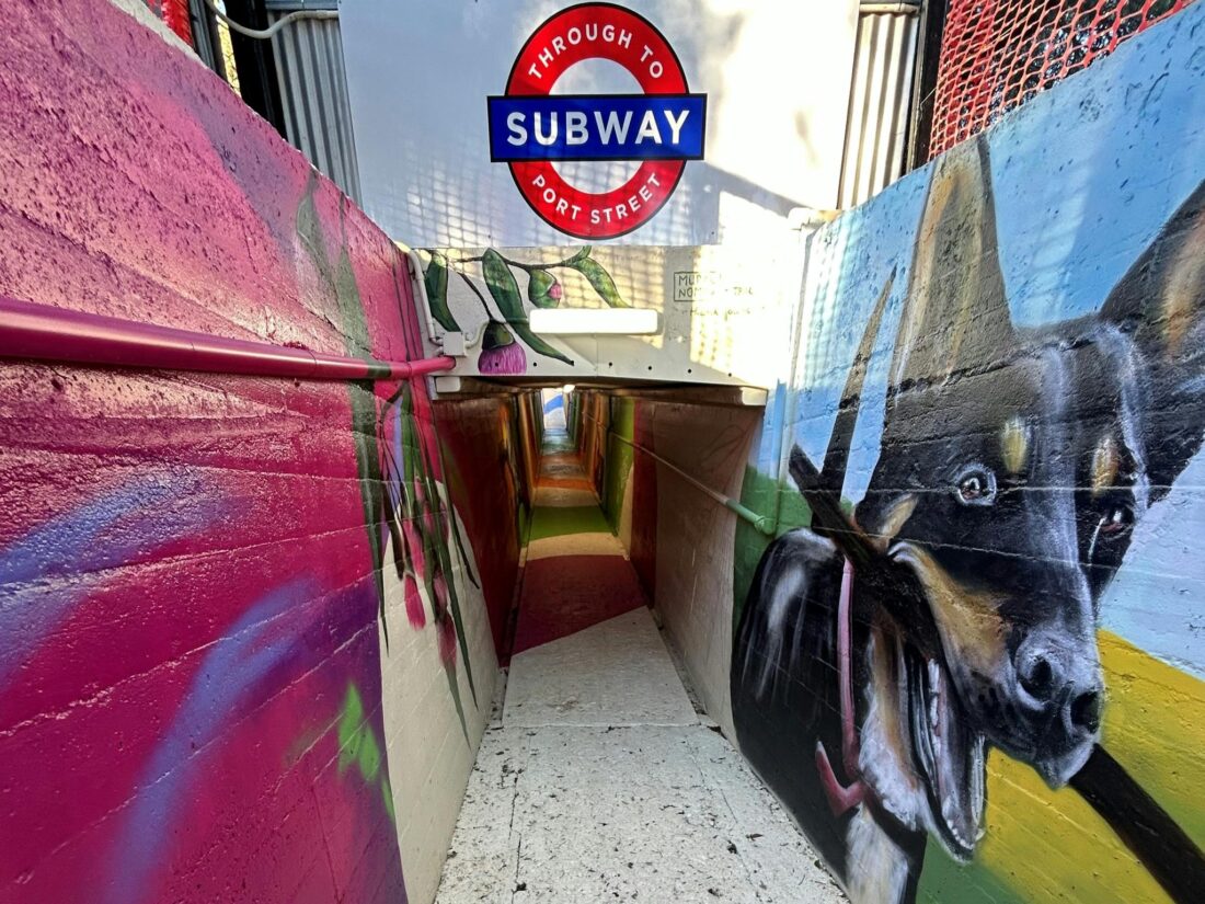 Gladstone Subway Mural - Flinders Ranges and Outback